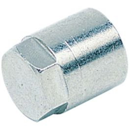 End Cap BR hex 1"